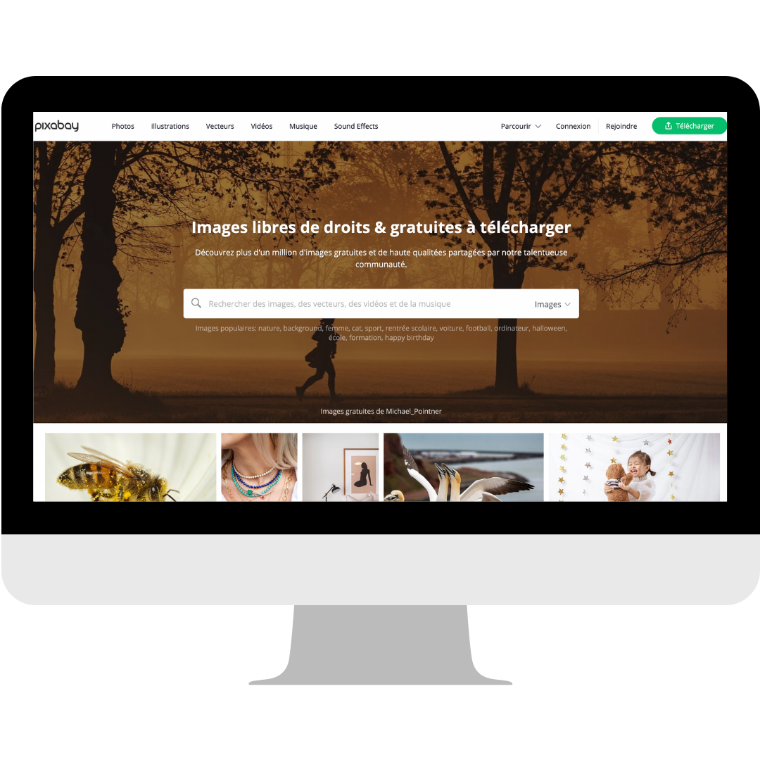 Top 15 : banques d’images gratuites et libres de droits